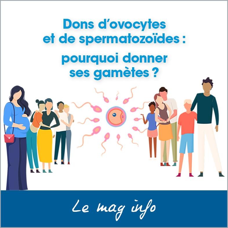 Dons d’ovocytes et de spermatozoïdes : pourquoi donner ses gamètes ...